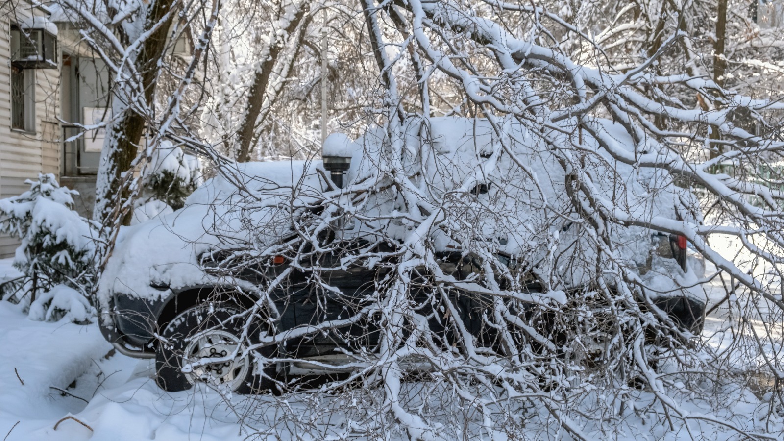 Weather Safety - Kelley Blue Book